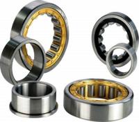 China NU 2232 ECML;NJ 2232 ECML Cylindrical Roller Bearings Use For Vibrating Screen Grain Sorting Machines for sale