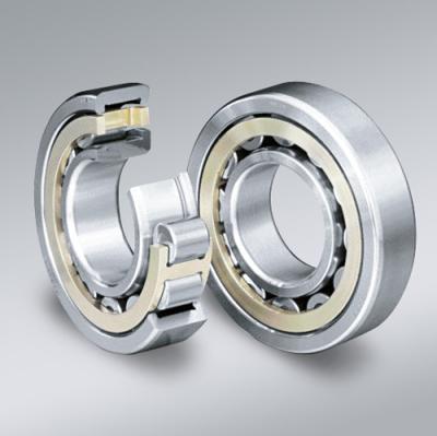 China NU 420 M Cylindrical Roller Bearings 100*250*58mm use for Servo Motor for sale