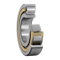 China RN205M Cylindrical Roller Bearing 25x46.5x15mm for sale