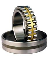 China NN3020KP4W33 100*150*37mm Double Row Cylindrical Roller Bearing  Torsion Resistant for sale