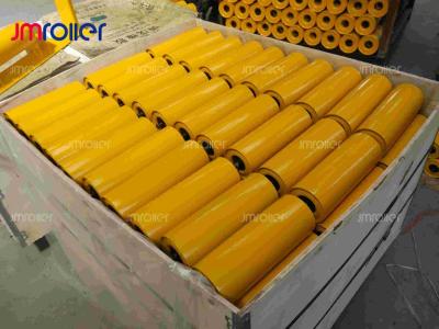 China Precision Sealed Bearing Carrying Roller With Waterproof And Dustproof Protection for sale