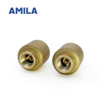 China One Way Type Vacuum Valve RSV,Vacuum Check Valve With Copper Material for sale