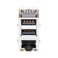 China YDS JY0-0016NL Compatible LINK-PP LPJU4101AONL 10/100 Base-T Ethernet RJ45 MagJack With Dual USB Green&Orange/Yellow LED Tab Up for sale