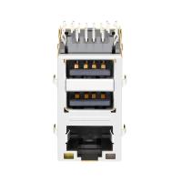 China LPJU4130ALNL 10/100 Base-T Tab Up Green&Orange/Yellow LED with DUAL USB RJ45 Modular Jack Connector for sale