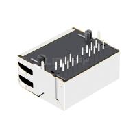 China LPJ21028CNL 10/100 Base-T Without Led Tab UP 1x2 Port RJ45 Female Connectors for sale