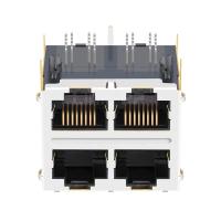 China Tyco 1840182-1 Compatible LINK-PP LPJG27591CNL 10/100/1000 Base-T  Without LED 2x2 Port Cat6 Modular Jack for sale