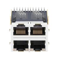 China LPJ27335A48NL 10/100  Base-T 8p8c Green&Orange/Green&Orange LED 2x2 Port RJ45 Female Connector for sale
