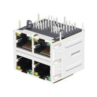 China LPJM27010AHNL 2.5G Base-T 2x2 Port RJ45 Magnetic Jack Green/Yellow LED for sale