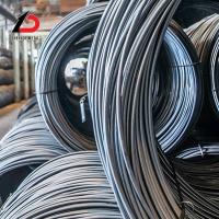 China Hot Rolled Steel Wire Rod SAE 1006 1008 1010 Q195 Q235 1045 Alloy 5.5mm to 19mm Diameter for sale