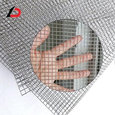 China Hot Dip Galvanized Welded Wire Mesh 16 Gauge 1/2 x 1 Inch Square Hole Iron Mesh Roll for sale