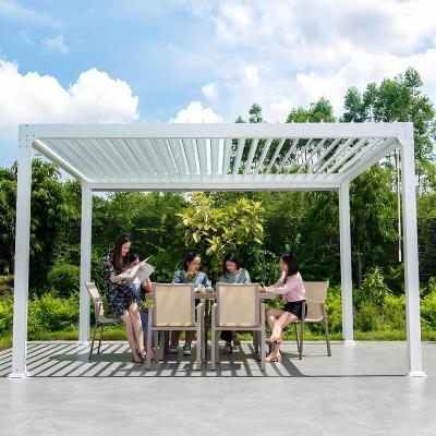 China Elegant & Long-Lasting Metal Pergola with Motorized Roof & Electric Shades for sale