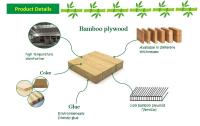 China FSC Certificated 16mm Veneer Bamboo Plywood Sheets 4 X8 for sale