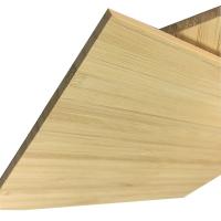 China BAMBOO Furniture Panel Wood Sheet Film Faced Laminated Plywood with 5mm 9mm 18mm 25mm for sale