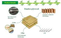 China BAMBOO 2000mm x 300mm x 7.5mm Countertop Shelf for Home Promotion for sale