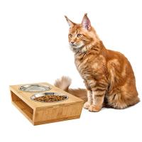 China Multifunctional Design Make Your Pet Eat with Ease Regulated Raised Stainless Steel Feeder for sale