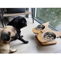 China Pet Feeding Food Tray Eco-Friendly 14 Inch Melamine Divided Tray for Hospital Canteen for sale