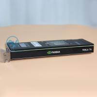 China PCI Express 3.0 X16 Nvidia Tesla T4 16GB GPU with Original Design and 0.8ns Speed for sale