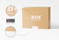 China Silk Screen Printing Mailing Shoe Box Custom Printing Express Gift Box for sale