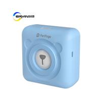China 203dpi A6 Portable Handheld Peripage Photo Printer Compatible with POS/ESC Command for sale