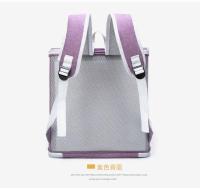 China Breathable Pet Carrier Cat Kitten Dog Backpack Astronaut Capsule Window Backpack for sale