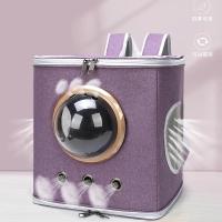 China Breathable Pet Carrier Cat Kitten Dog Backpack Astronaut Capsule Window Backpack for sale
