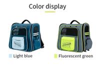 China 36cm 14.17in Foldable Pet Carrier Bag For Dogs Cats for sale