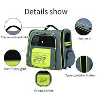 China 36cm 14.17in Foldable Pet Carrier Bag For Dogs Cats for sale