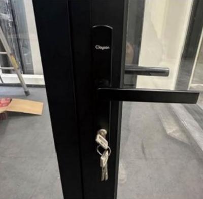 China Durable Thick Profile Aluminum Folding Door with Fluorocarbon Spraying for Enhanced Longevity for sale