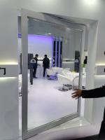 China Slim Frame Aluminum Pivot Door with Tempered Clear Glass and 10 Years Warranty for sale