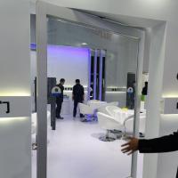 China Luxury Design Aluminum Pivot Door with High-Quality 304 Stainless Steel Hardware and 10-Year Warranty for sale