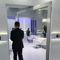 China Luxury Design Aluminum Pivot Door with High-Quality 304 Stainless Steel Hardware and 10-Year Warranty for sale