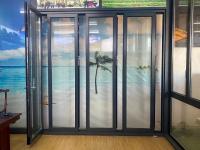 China Firm & Durable Weather Resistant Aluminum Folding Door with Multi-point Locking for sale