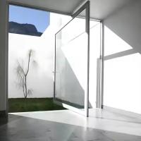 China Modern Residential Design Aluminum Pivot Door with High-Quality 304 Stainless Steel Hardware and 1.4mm/1.6mm/1.8mm/2.0mm Frame Thickness for sale