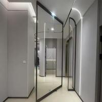 China Modern Residential Design Aluminum Pivot Door with High-Quality 304 Stainless Steel Hardware and 1.4mm/1.6mm/1.8mm/2.0mm Frame Thickness for sale