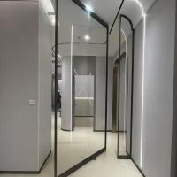 China Aluminum Pivot Door with High-Quality 304 Stainless Steel Hardware EPDM Rubber Seal Strip and Superior Sound Insulation for sale