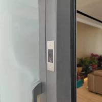 China Sleek And Minimalist Aluminum Pivot Door with 1.8mm Frame Thickness and Customizable Handle for sale