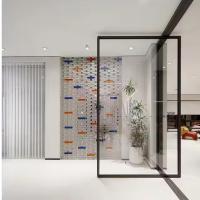 China Sleek And Minimalist Aluminum Pivot Door with 1.8mm Frame Thickness and Customizable Handle for sale