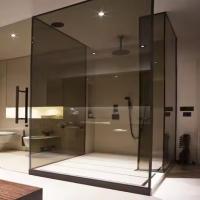 China Waterproof Frameless Shower Door with 6mm and 8mm Tempered Glass and Stainless Steel Hardware for sale