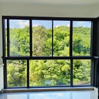 China Customized Black Frame Aluminum Sliding Sash Windows with Stainless Steel Hardware and 50-Year Lifespan for sale
