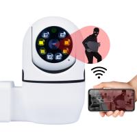China Mini CCTV Wireless IP Camera , Surveillance Indoor Dome Camera With Plug for sale
