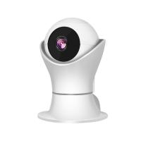 China World Cup Style Indoor Wifi Security Cameras , 2MP Dog Home Video Monitor OEM ODM for sale