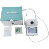 China 2MP HD Outdoor Wireless IP Camera With LED Wall Lamp Floodlight for sale