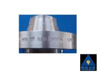 China ASME B16.5 A105 Class 300 Weld Neck Flange 2 Inch Carbon Steel RF Forged for sale