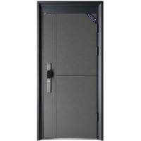 China High-end Custom Villa Door Minimalist Strip Handle Color-matching Security Door with Well sealed Outdoor Feature for sale