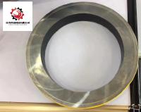 China 200 Putzmeister Wear Plate Cutting Ring for Concrete Pump for sale