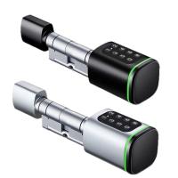 China Tuya Electronic Keyless Door Lock Simple Installation With Password for sale