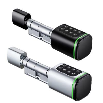 China Tuya Electronic Keyless Door Lock Simple Installation With Password for sale