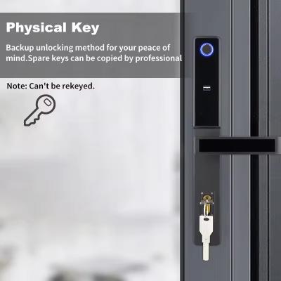 China TTlock Electronic Hotel Door Locks Bluetooth Fingerprint Wifi Door Lock Customized for sale