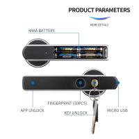 China Zinc Alloy Fingerprint Door Lock Black Code Handle Lock Mini With Single Latch for sale