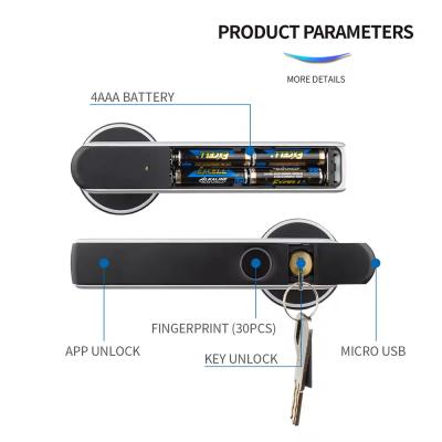 China Zinc Alloy Fingerprint Door Lock Black Code Handle Lock Mini With Single Latch for sale